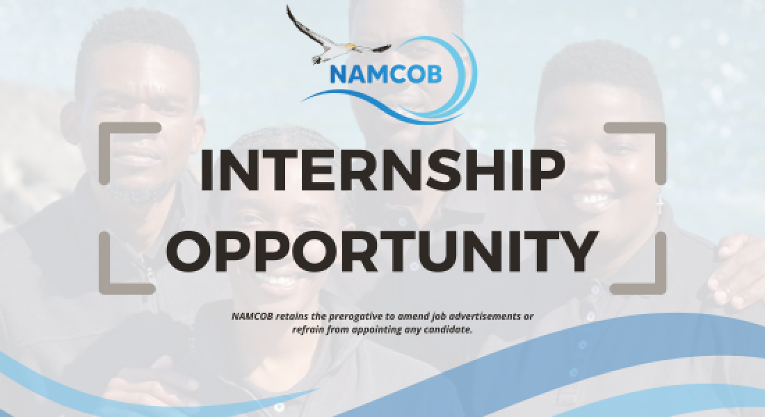Internship Opportunity | NAMCOB